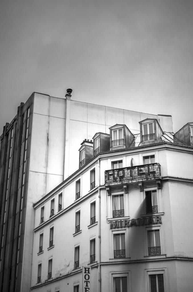 Windows 2026 01 - NICOLAS JACQUET